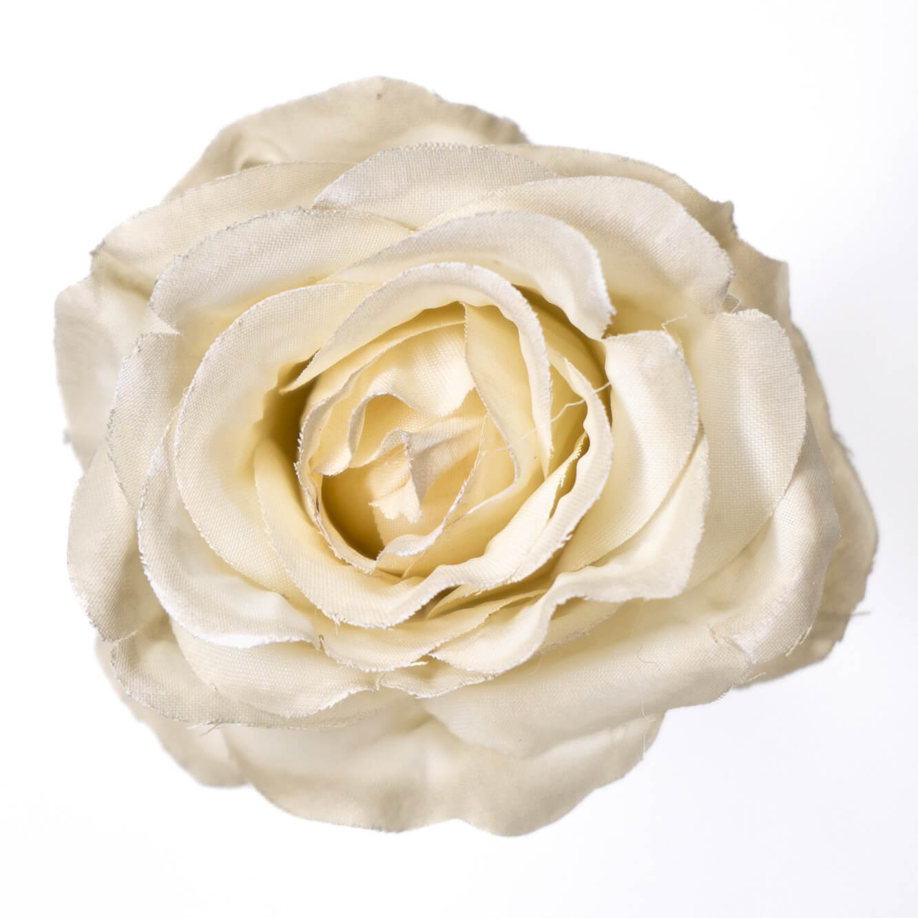 ROSA PEQUEÑA CREMA | Micaela Villa