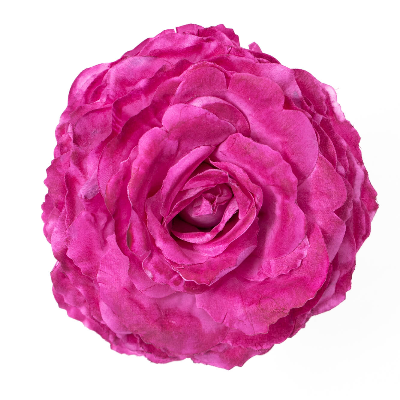 ROSA GRANDE BUGANVILLA - Micaela Villa